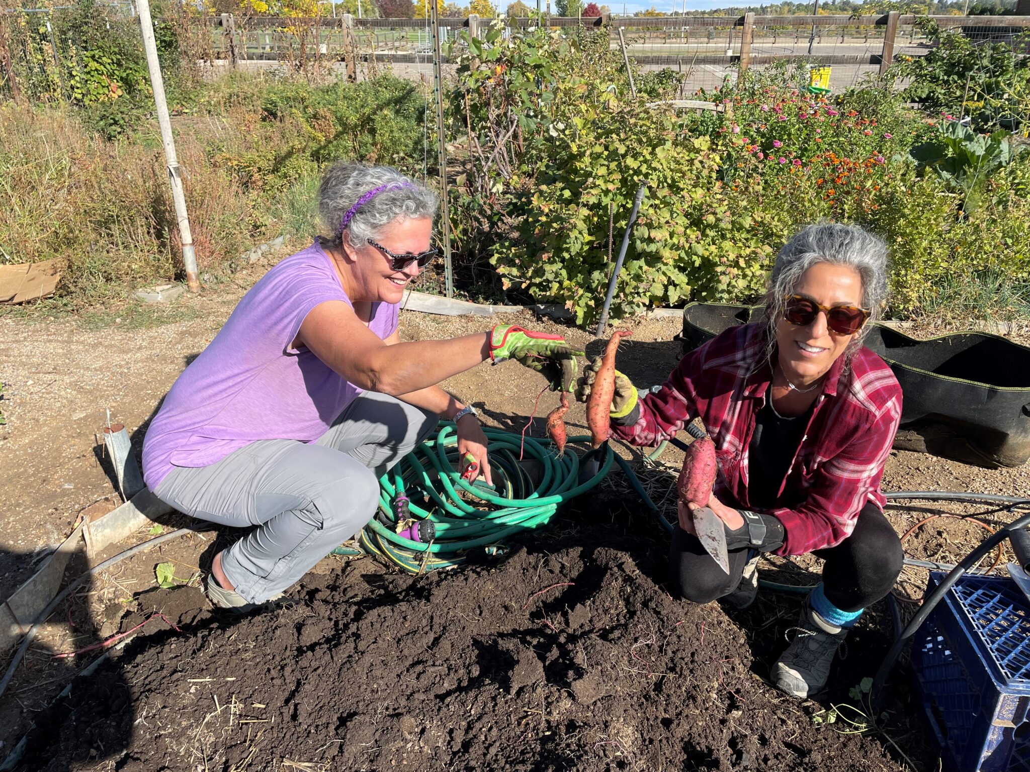 Colorado Master Gardener Program – Boulder County Extension